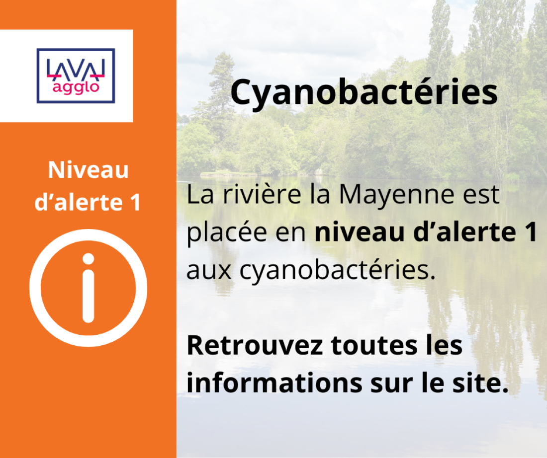 Actualités - Présence de cyanobactéries dans la rivière de La Mayenne ...